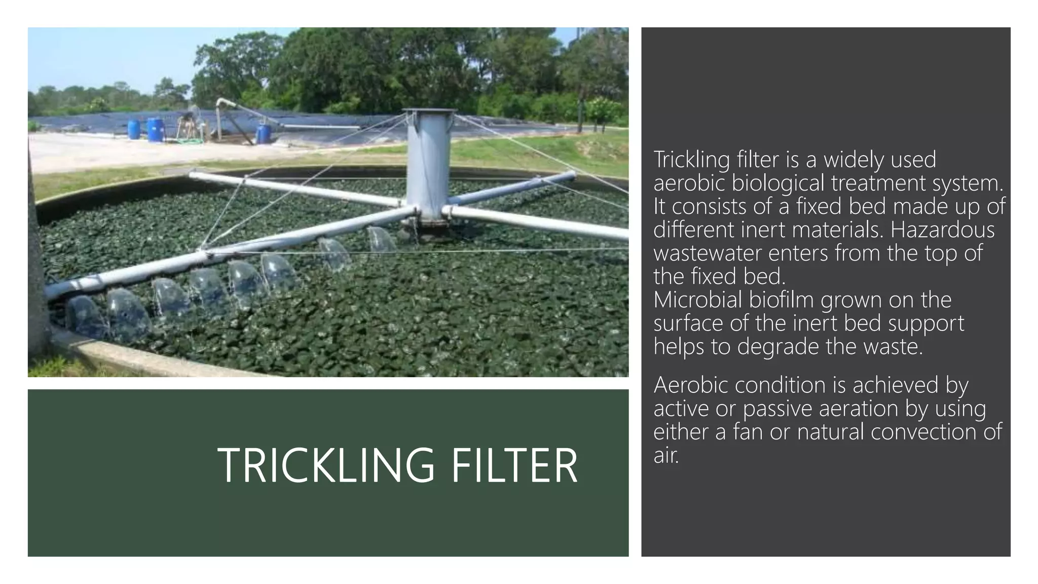 Biological treatment of hazardous waste | PPTX