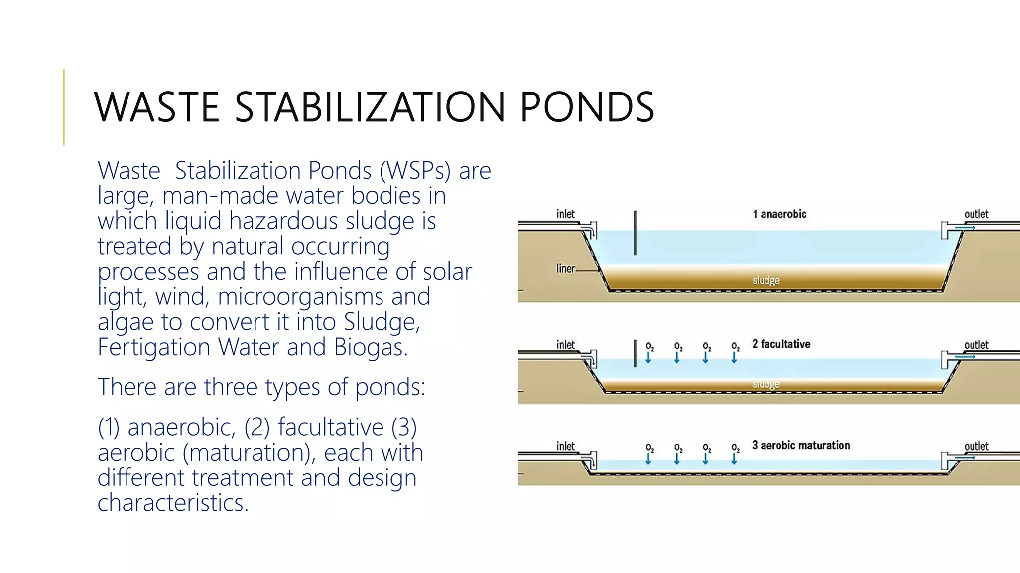 Biological treatment of hazardous waste | PPTX