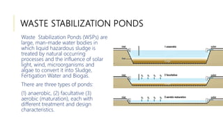 Biological treatment of hazardous waste | PPTX