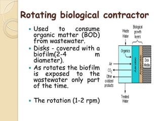 Biological treatment of waste water | PPTX