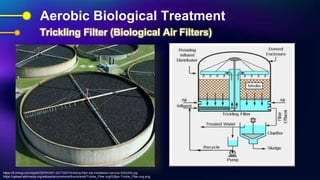 Biological treatment of waste water | PPTX