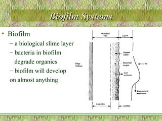 Biological treatment processes | PPT