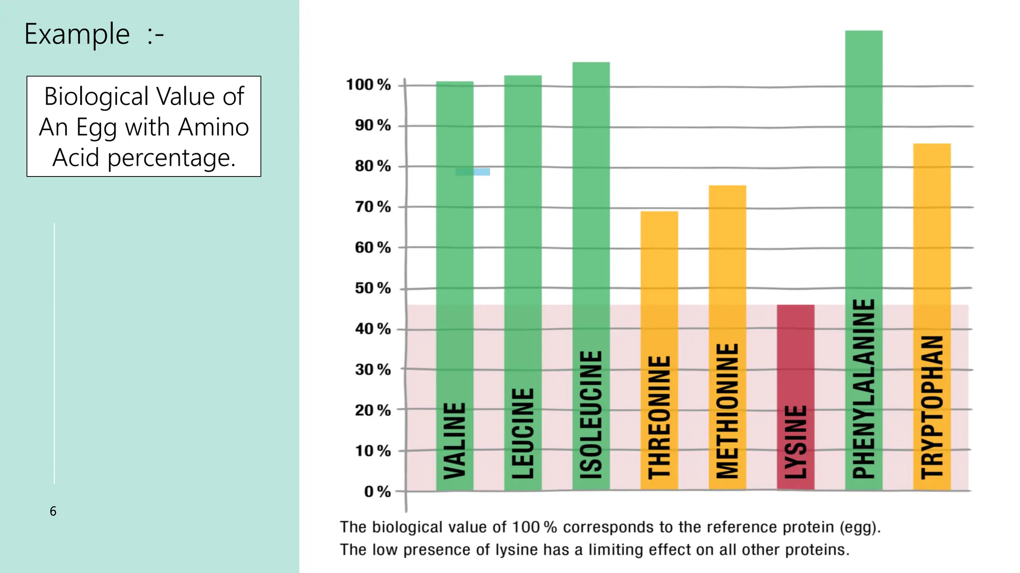 Biological Values And Estimation Of Proteins, Essential Amino Acids And ...