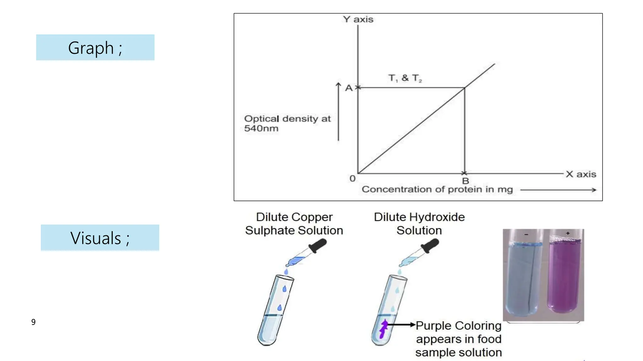 Biological Values And Estimation Of Proteins, Essential Amino Acids And ...