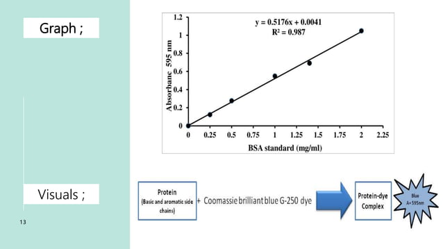 Biological Values And Estimation Of Proteins, Essential Amino Acids And ...