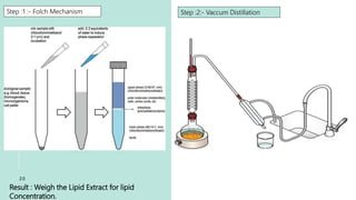 Biological Values And Estimation Of Proteins, Essential Amino Acids And ...