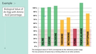 Biological Values And Estimation Of Proteins, Essential Amino Acids And ...