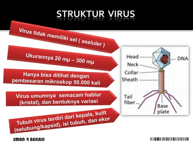 Materi biologi - Virus .ppt presentation | PPSX
