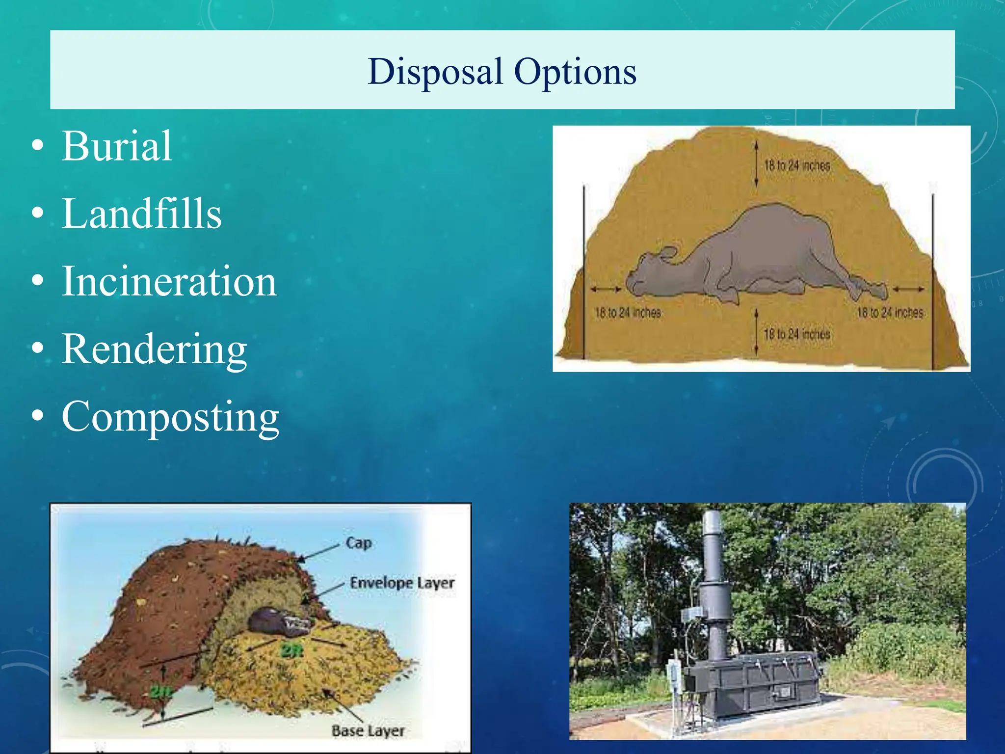 Biological wastes of Livestock and poultry and disposal through ...
