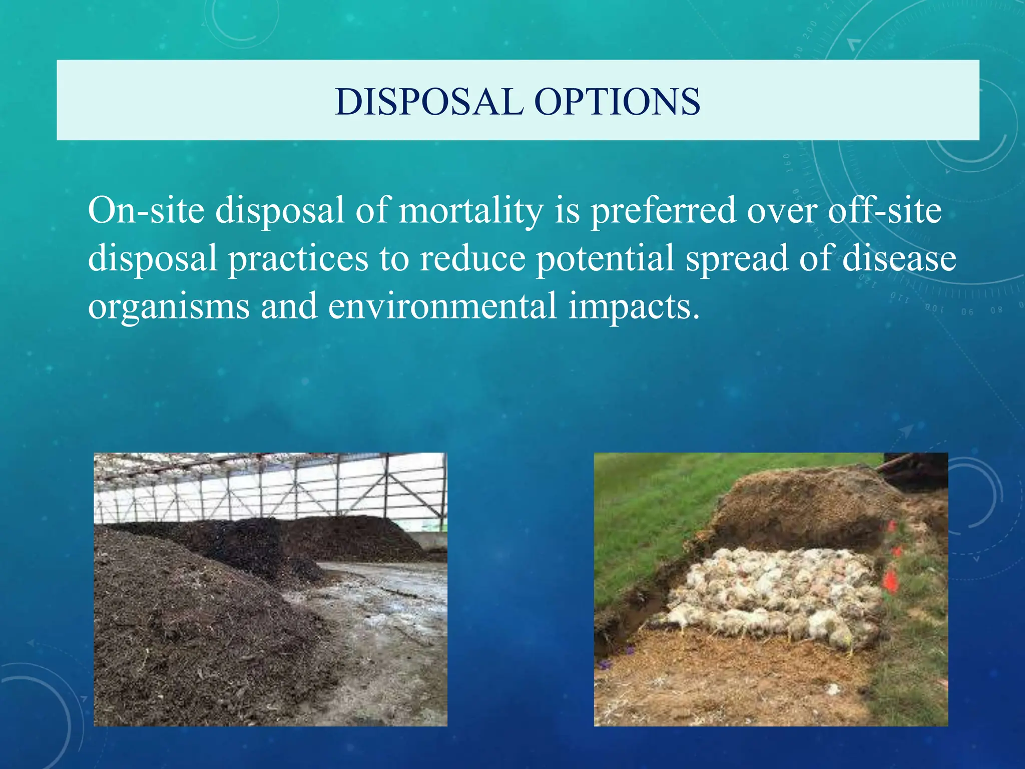 Biological wastes of Livestock and poultry and disposal through ...