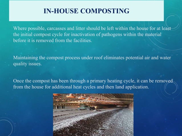 Biological wastes of Livestock and poultry and disposal through ...