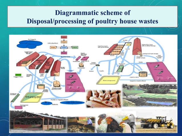 Biological wastes of Livestock and poultry and disposal through ...