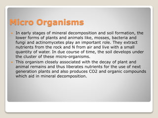 Biological Weathering | PPTX