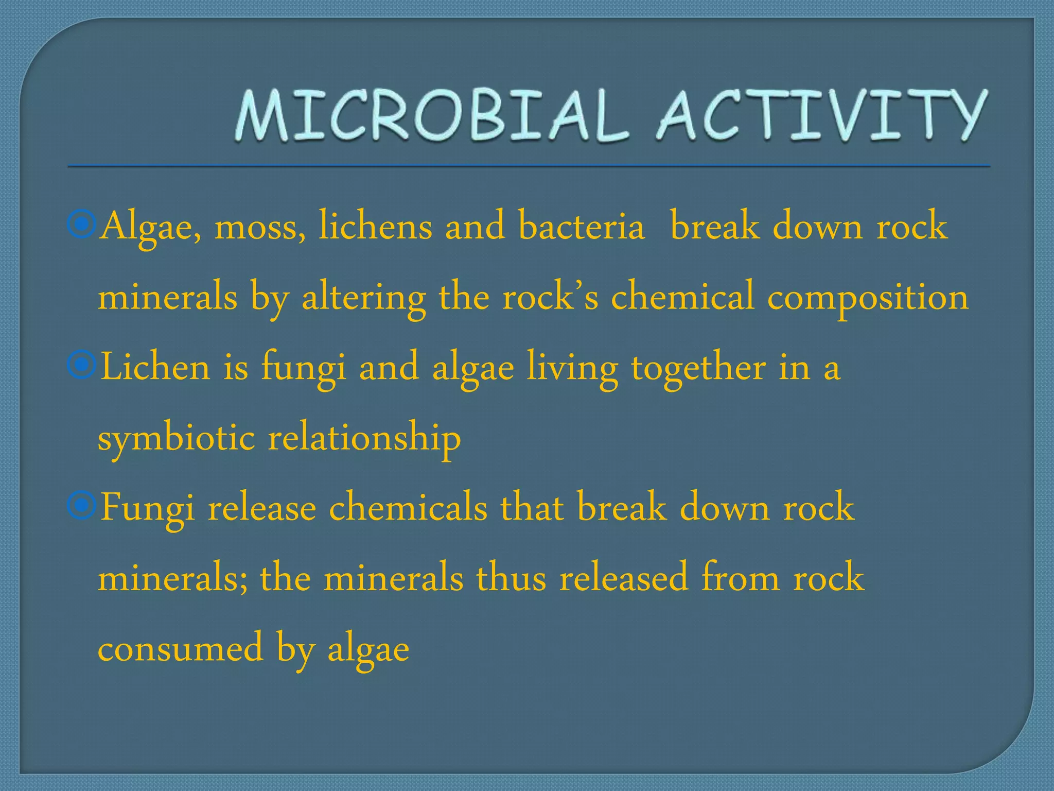 Biological weathering | PPTX