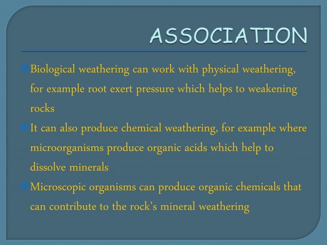 Biological weathering | PPTX | Chemistry | Science