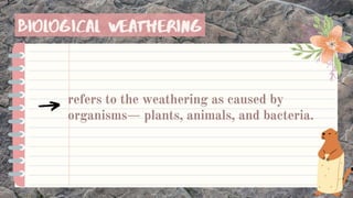 Biological weathering | PPTX