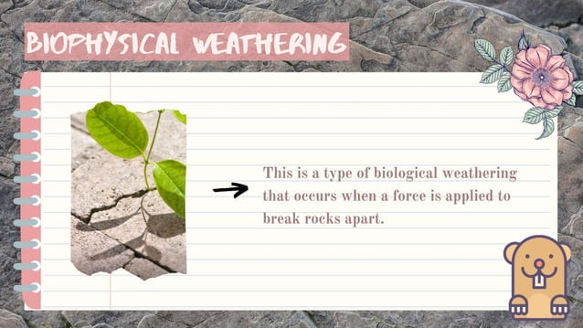 Biological weathering | PPTX