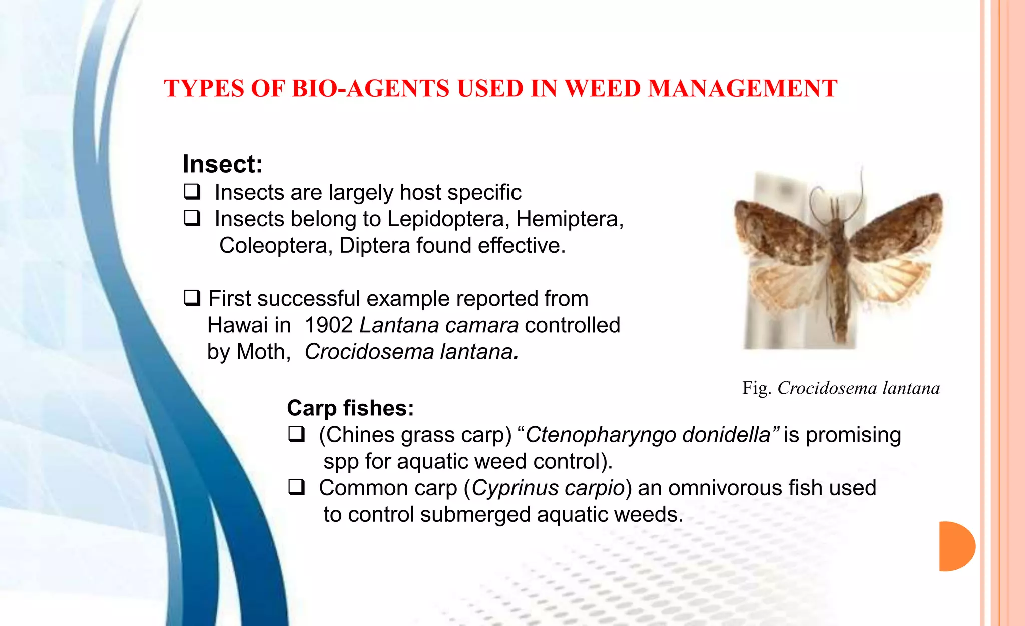 Biological weed management | PPTX