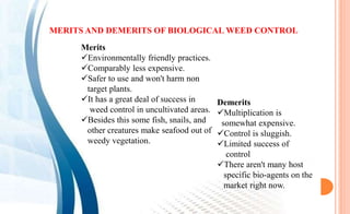 Biological weed management | PPTX