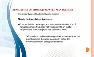Biological weed management | PPTX