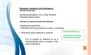 Biological weed management | PPTX