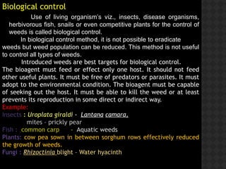BIOLOGICAL WEED MANAGEMENT .pptx