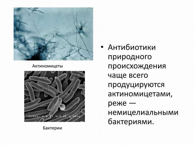 Biologicheski aktivnye veshestva | PPT