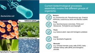 Biologics: Wonders of Biotechnology | PPTX | Biotech and Biomedical ...