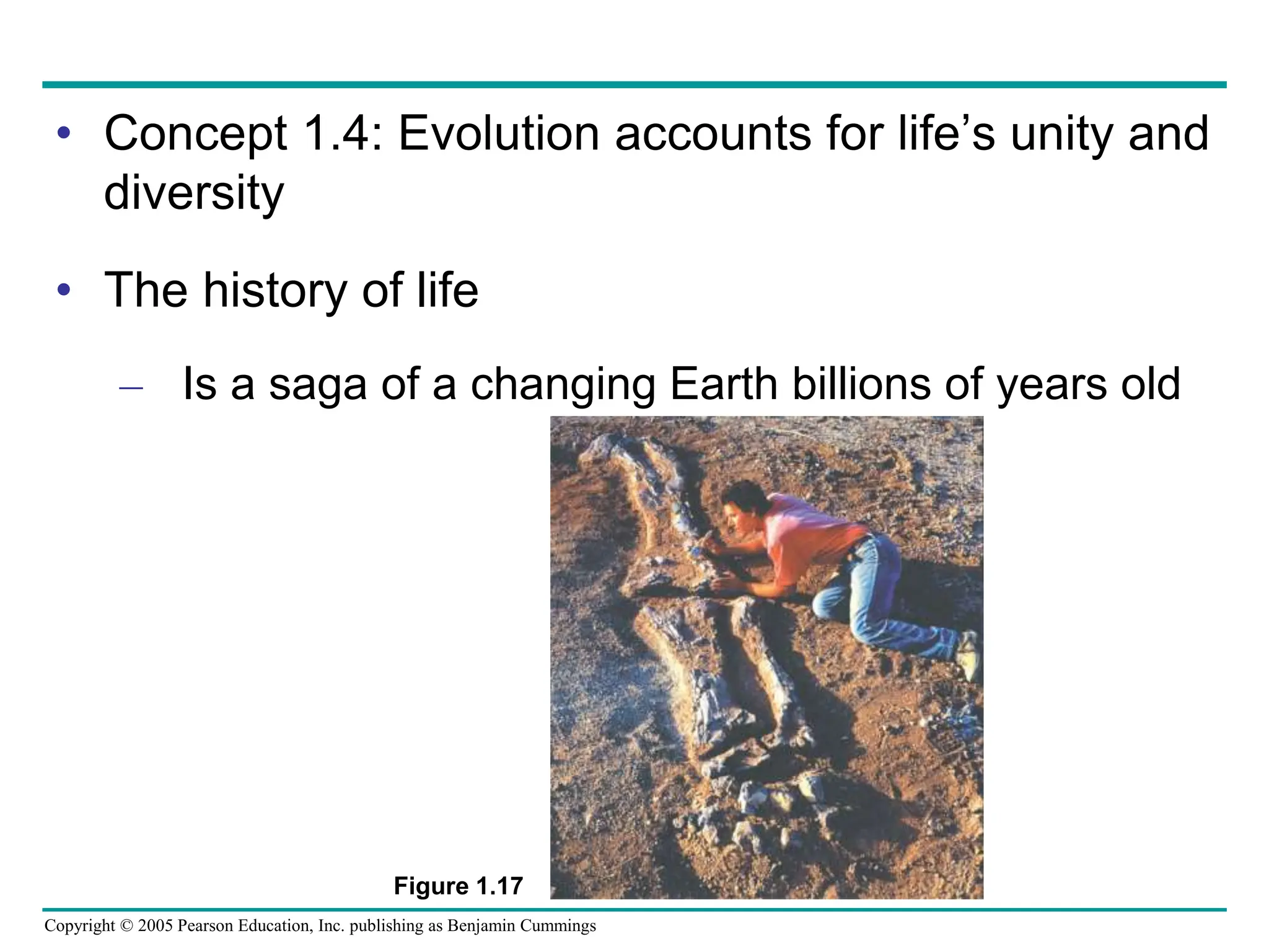 Biologi Dasar: A Hierarchy of Biological Organization | PPT