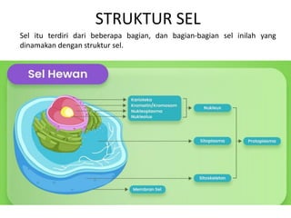 PPT - Biologi dasar - pertemuan 2 PDF.pdf