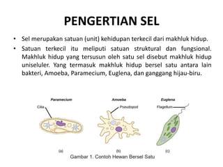 PPT - Biologi dasar - pertemuan 2 PDF.pdf