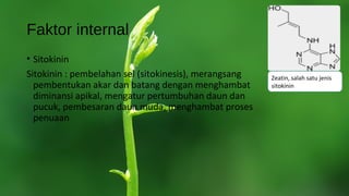 Biologi hormon tumbuhan | PPT