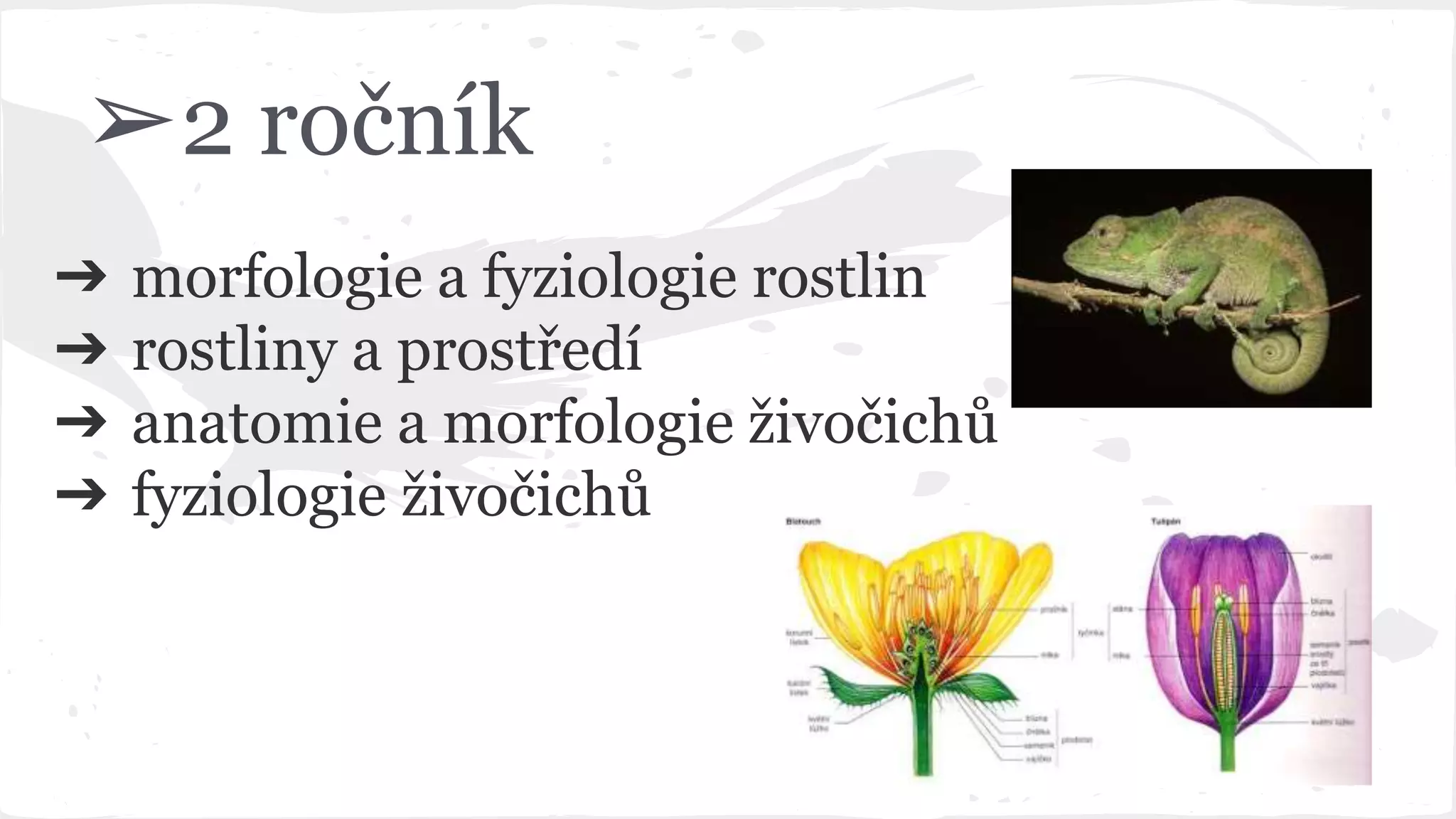 Biologie | PPTX