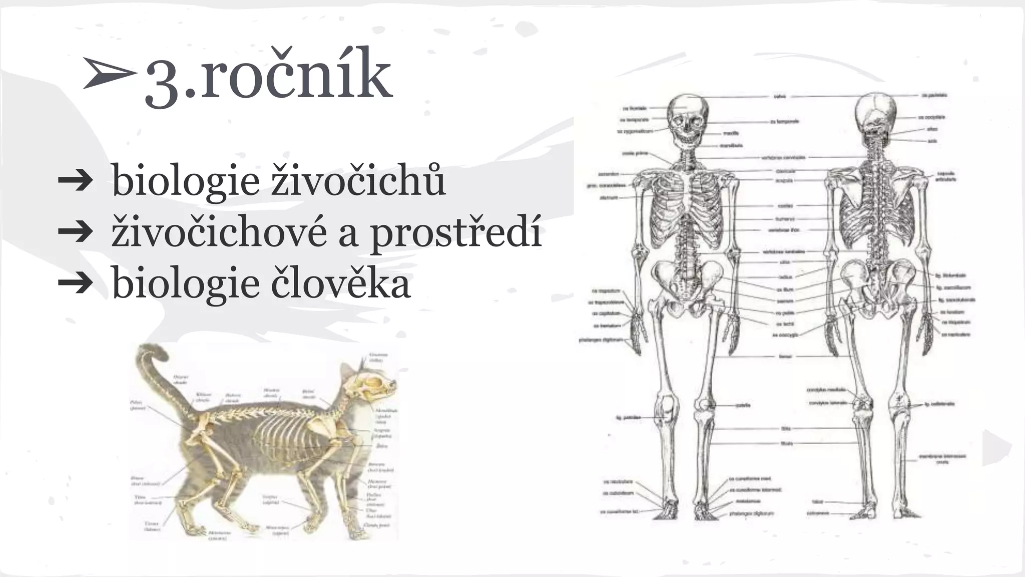 Biologie | PPTX