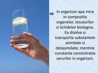 Biologie | PPTX
