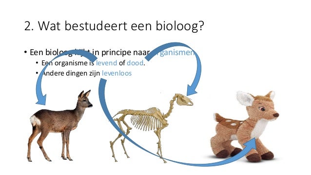 Biologie