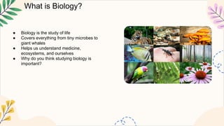 introduction à la biologie, what is life | PPT