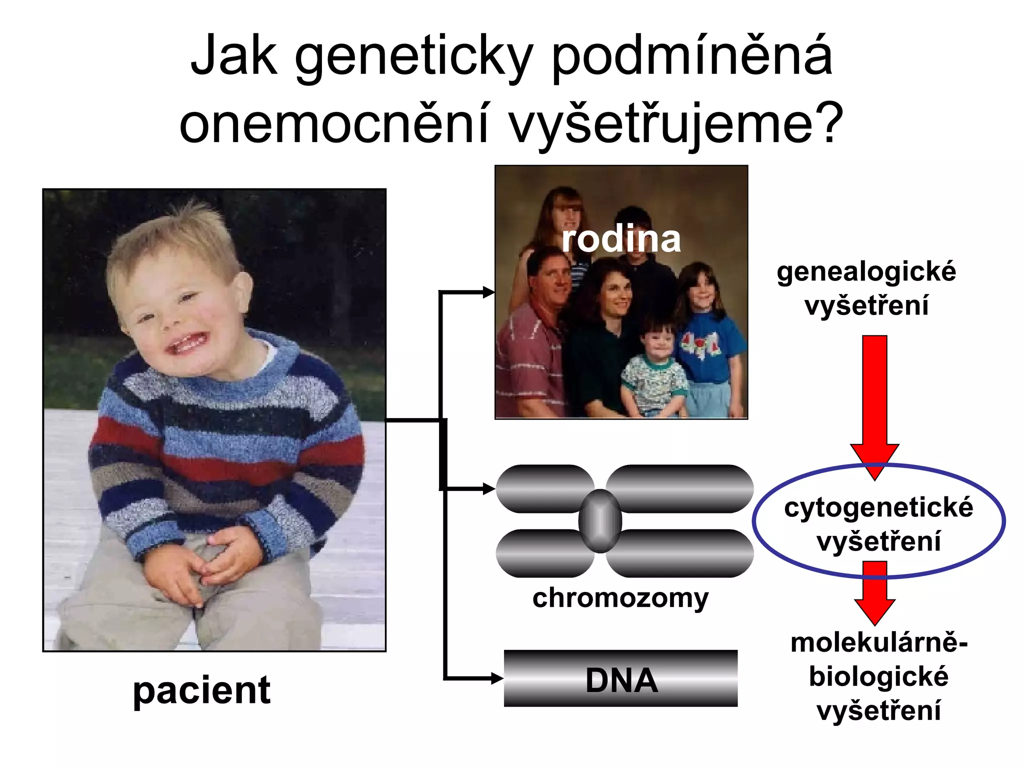 Biologie pro bakaláře - Cytogenetika I | PPT