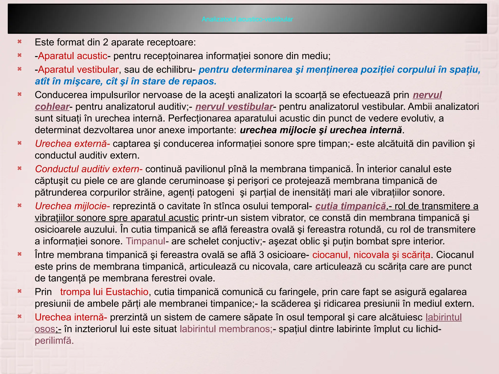 Biologie cl.11 Analizator_auditiv_si_vestibular.pptx