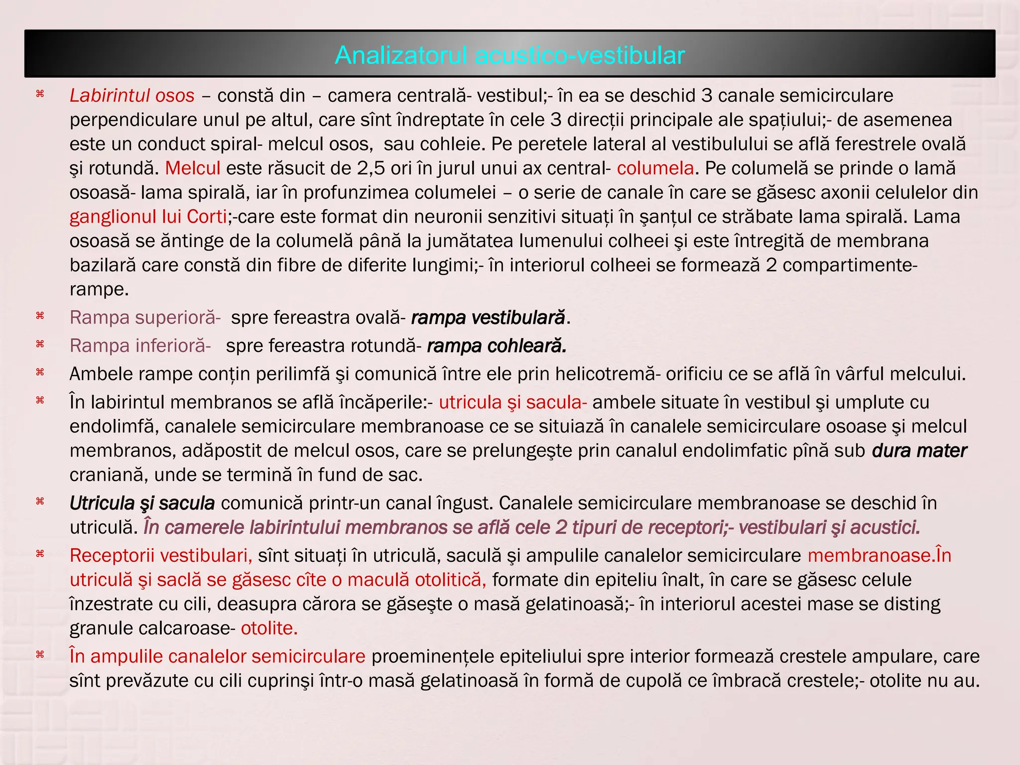 Biologie cl.11 Analizator_auditiv_si_vestibular.pptx