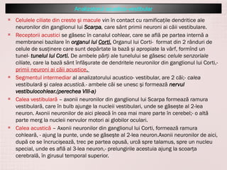 Biologie cl.11 Analizator_auditiv_si_vestibular.pptx