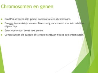 Biologie_powerpoint_Chromosomen_en_genen_[biologieweb] (1).pptx ...