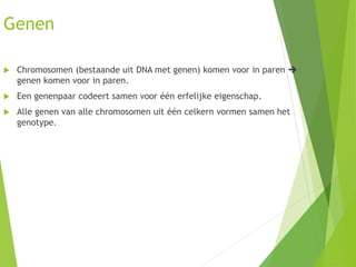Biologie_powerpoint_Chromosomen_en_genen_[biologieweb] (1).pptx ...