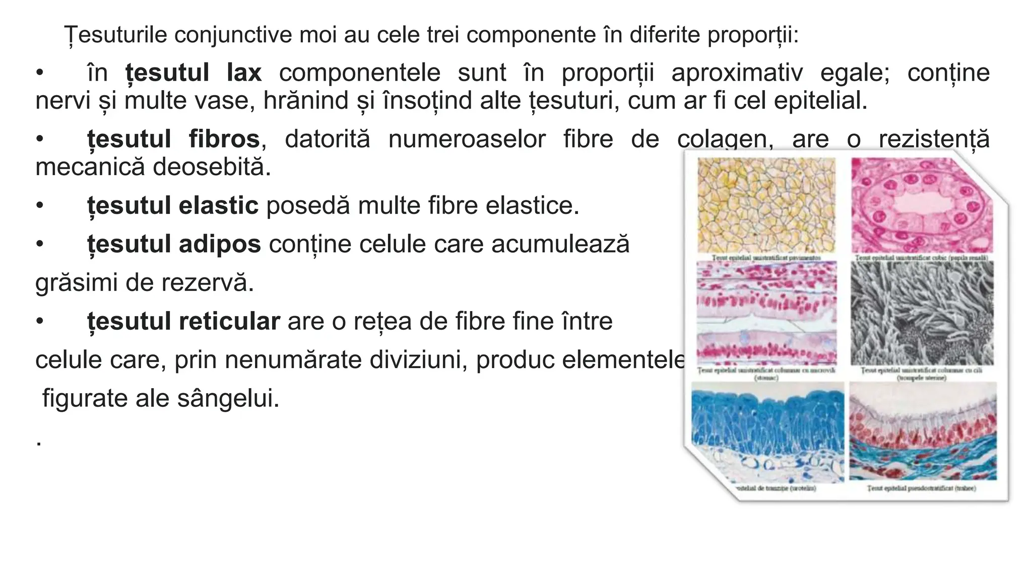 Biologie proiect 2022-Tesuturi animale.pptx