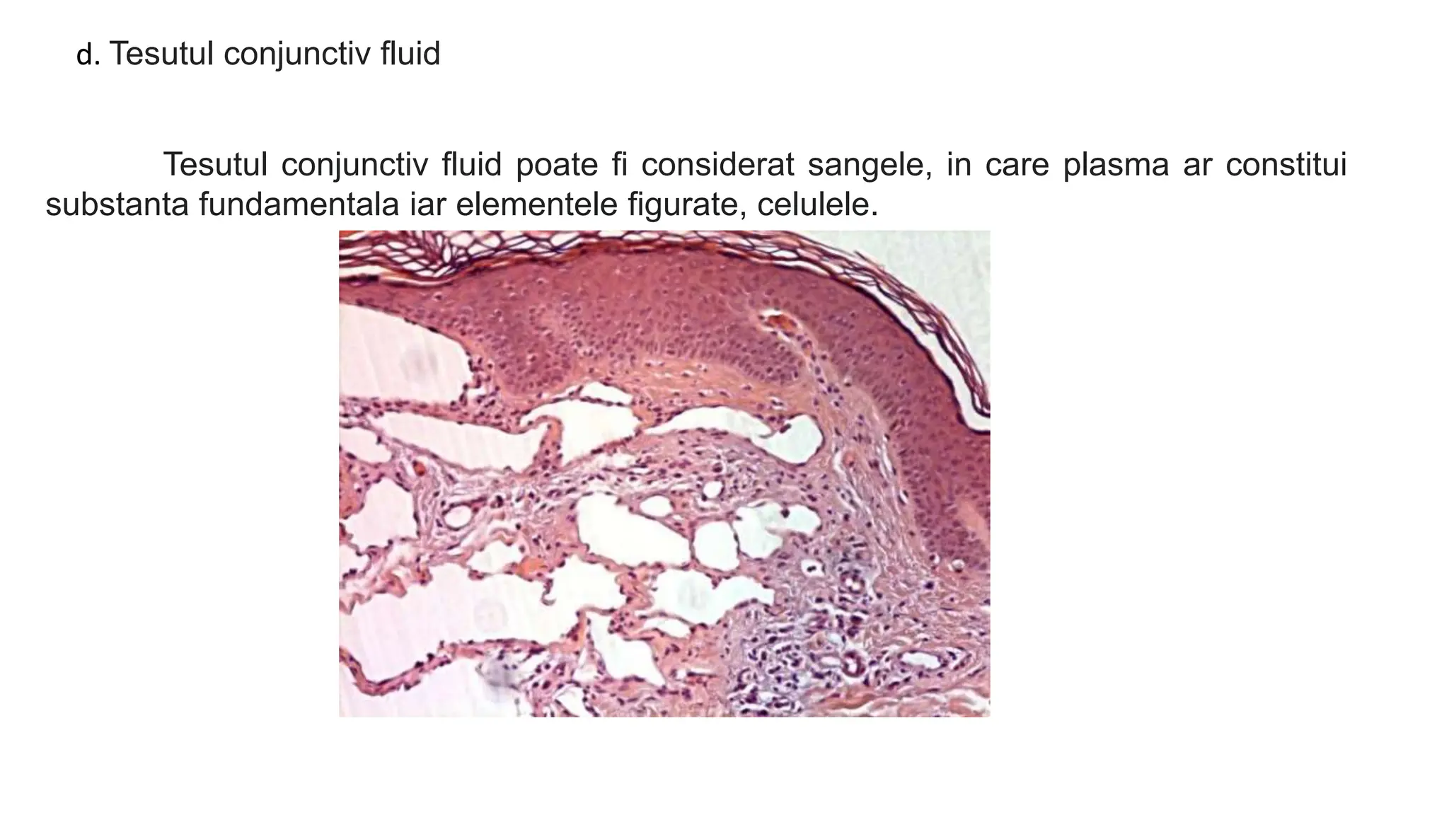 Biologie proiect 2022-Tesuturi animale.pptx