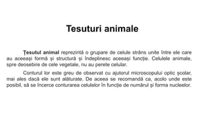 Biologie proiect 2022-Tesuturi animale.pptx