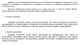Biologie proiect 2022-Tesuturi animale.pptx