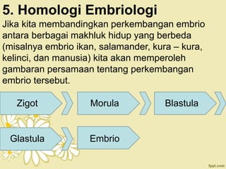 Biologi evolusi | PPTX