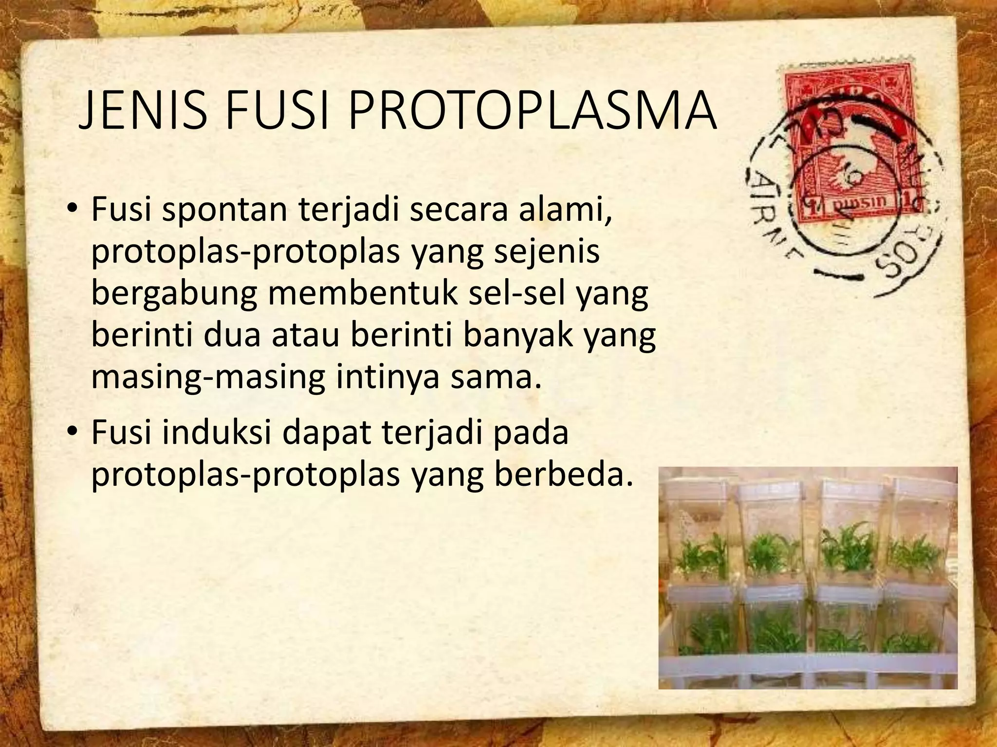 Biologi fusi protoplasma | PPTX