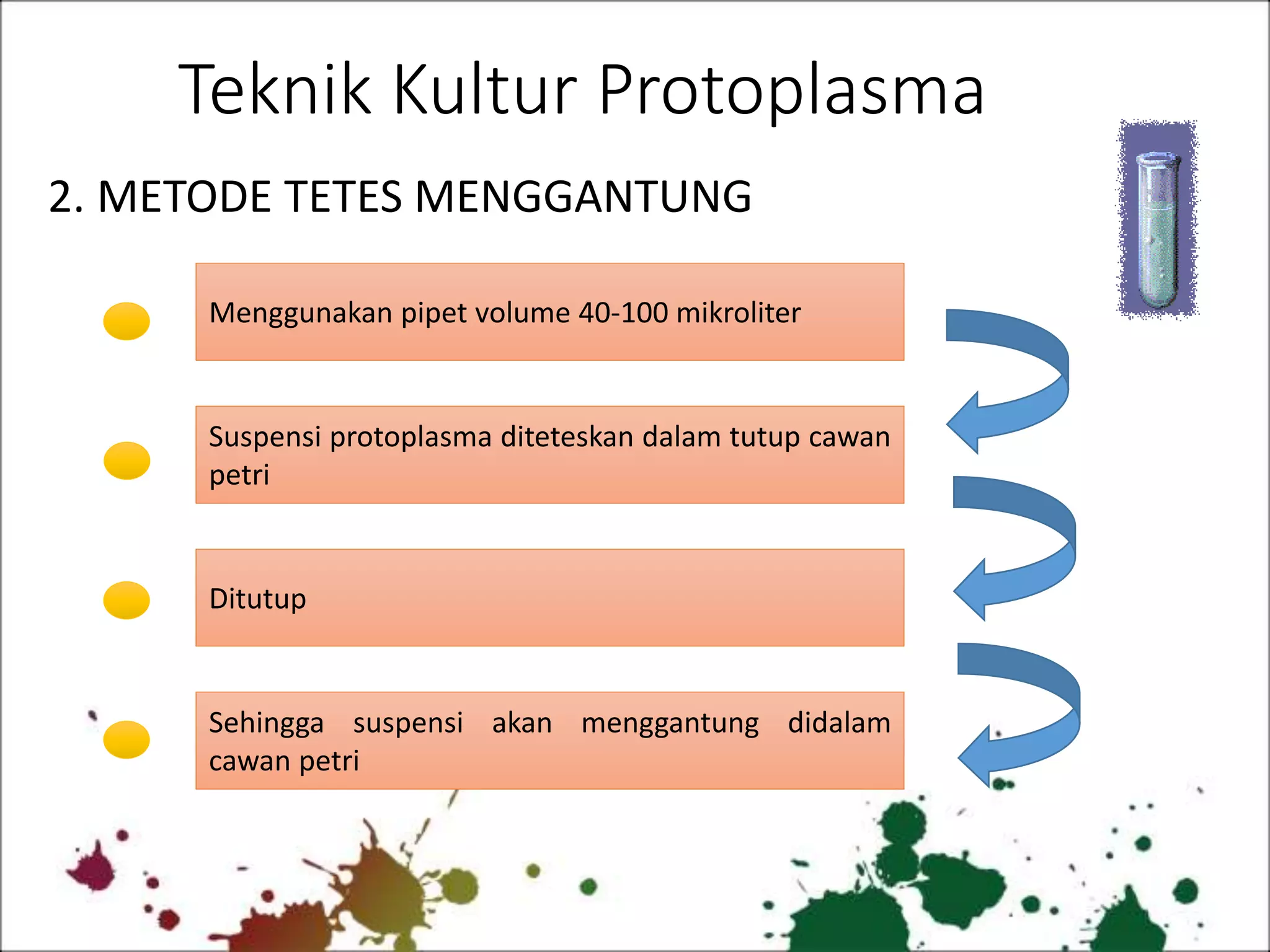 Biologi fusi protoplasma | PPTX